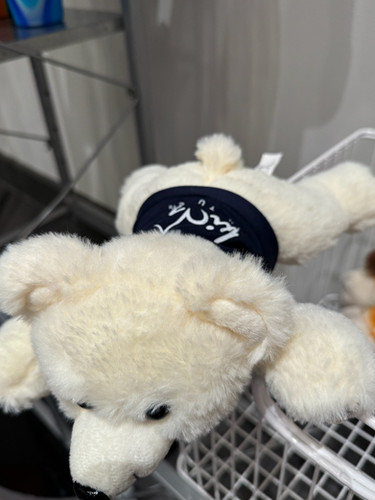 KIT Flashlight Animals | kidsintune