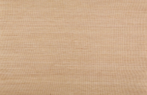 SN7476 | January Paint and Wa