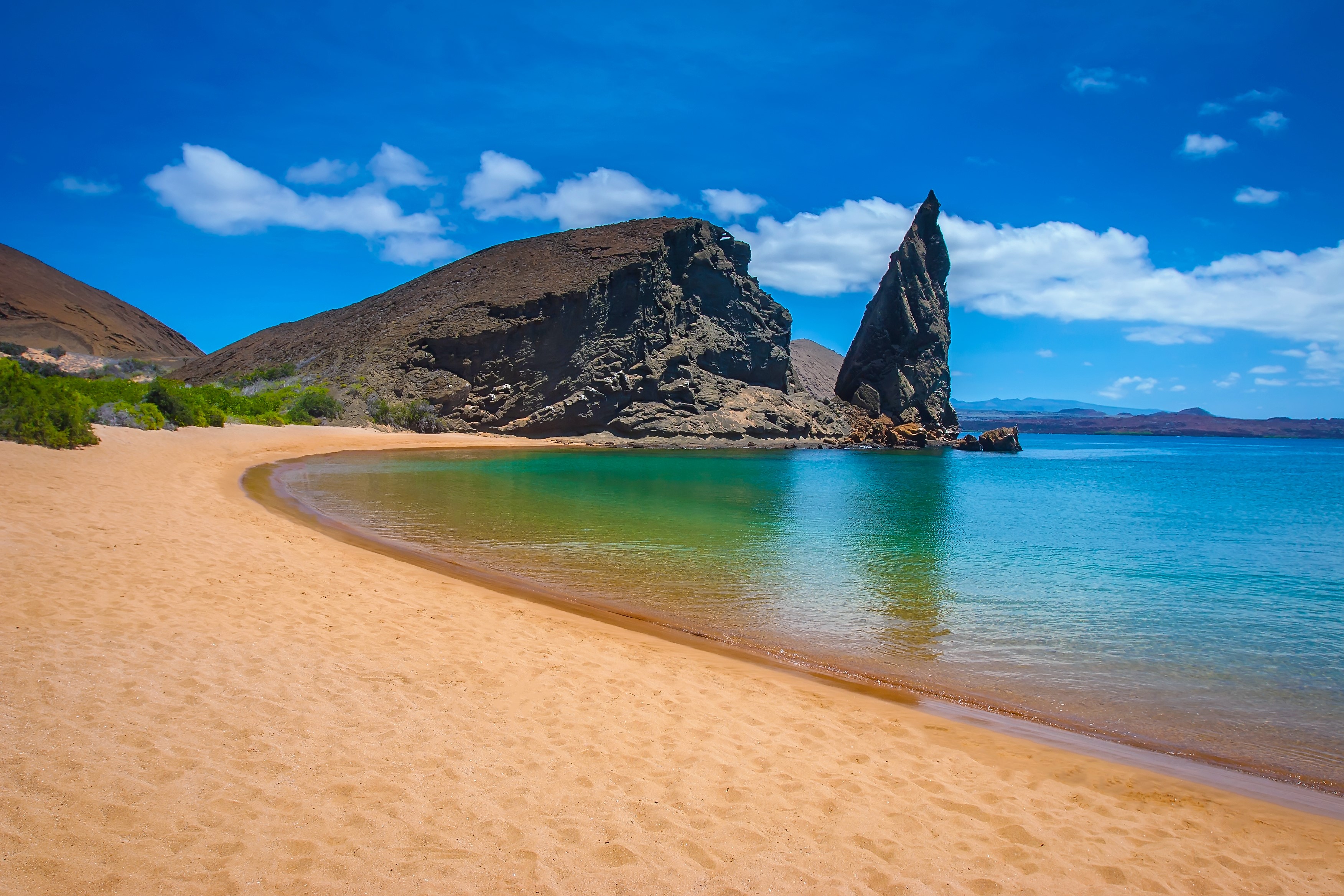Will You Swim with Hammerheads? ONLY Three Slots Left!