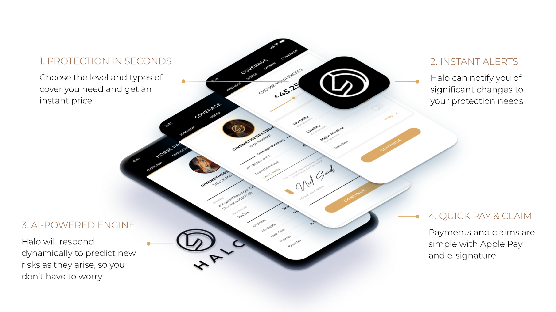Home | Halo ai-Insurance