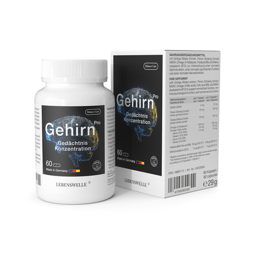 Lebenswelle Gehirn Pro | Max Quila