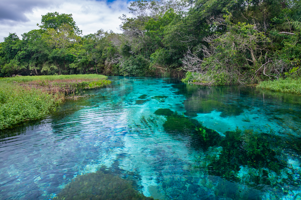 The brazilian paradise! Discover Bonito in the state of Mato Grosso do Sul