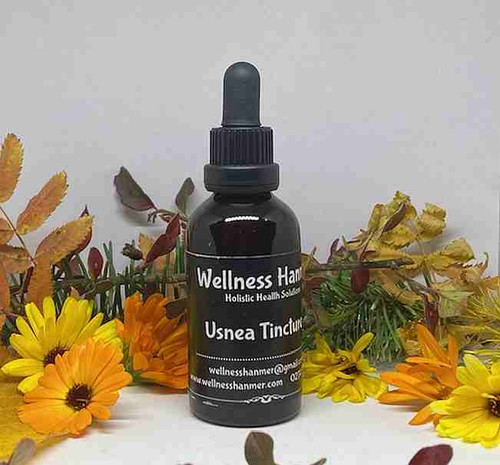 Usnea Tincture | wellnesshanmer