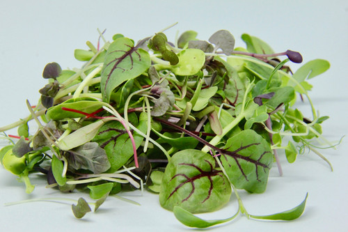 MicroMix | Lusso Leaf