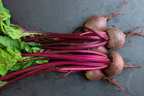 Bulk Detroit Dark Red Beet | Seedcult