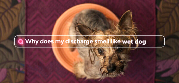 Bloody Brilliant: Bodyform’s Latest Ad ‘Never Just a Period ...