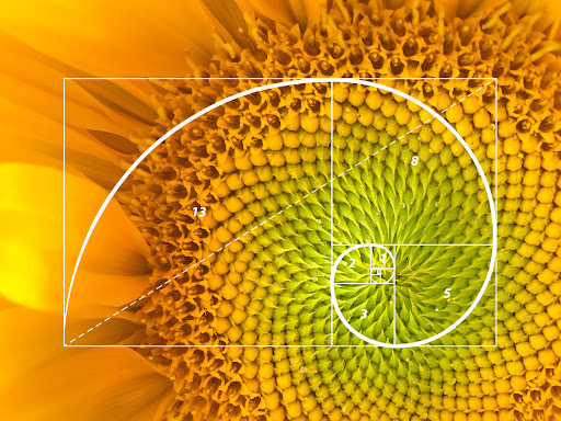 Exploring the Golden Ratio in Film and Photography