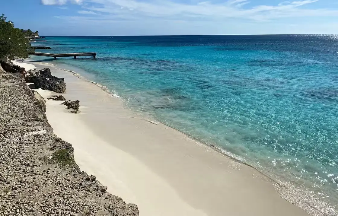 Bachelor's Beach - Alles wat jij moet weten