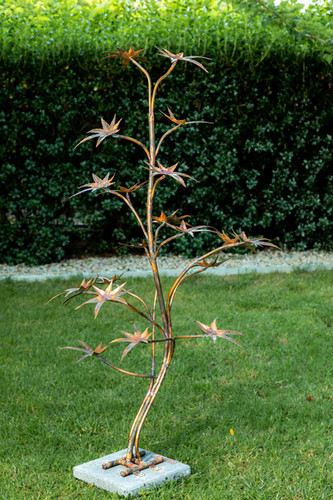 Acer Tree Model No. 6700 | My Site