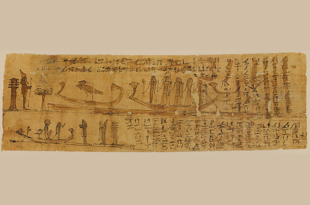Papyrus | Glossary | Seed Gallery | New York