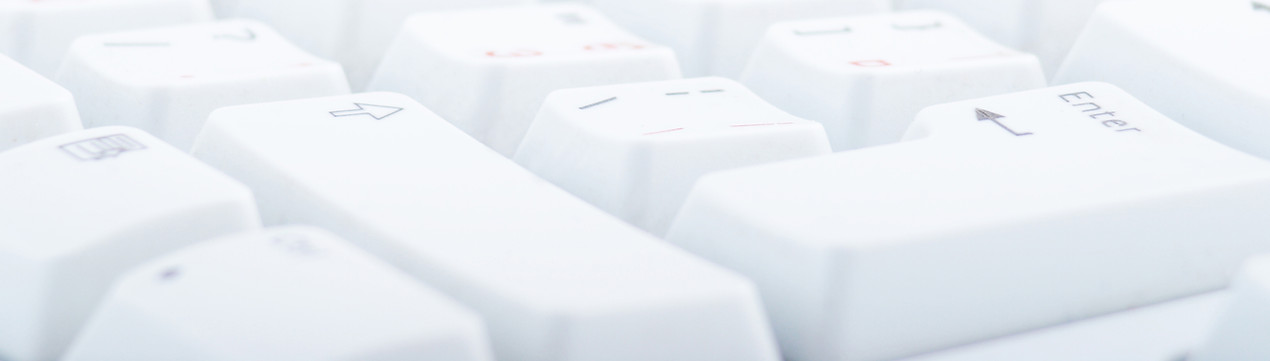 VISITING | Seed Gallery | New York