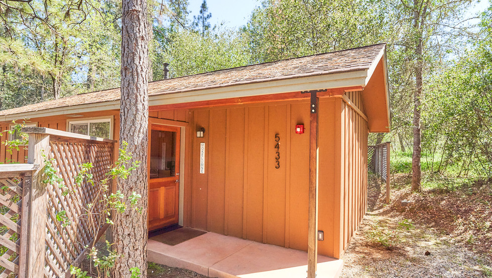 Gallery | Camp Lotus