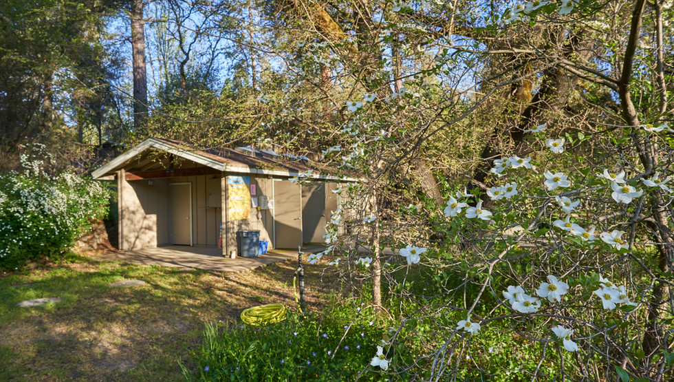 Gallery | Camp Lotus