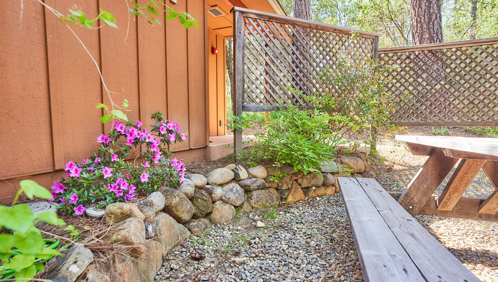 Gallery | Camp Lotus