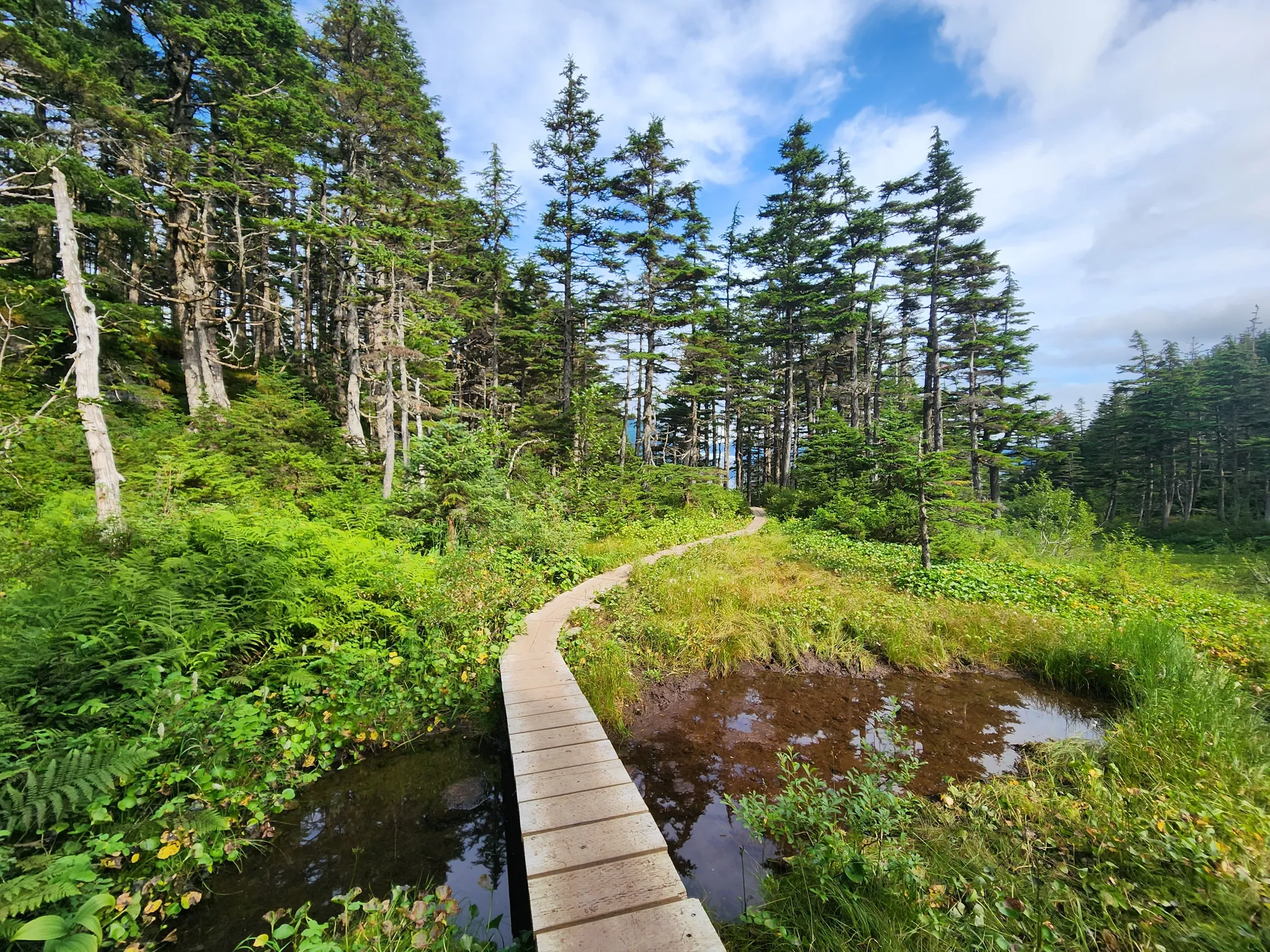 Trail Crews | Alaska Trails