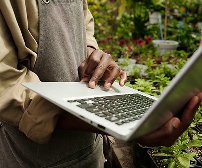 Business Classes For Landscape Designers | Mardi Dover