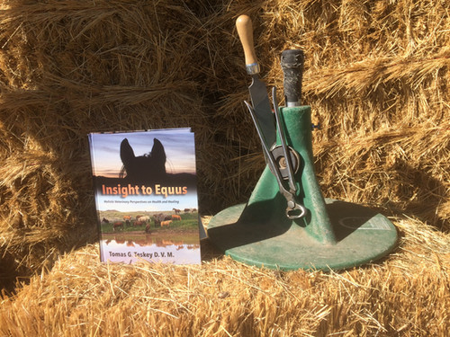 Hard cover Insight to Equus book | Insight to Equus