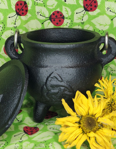 Triquetra Cast Iron Mini Cauldron | SpellFire