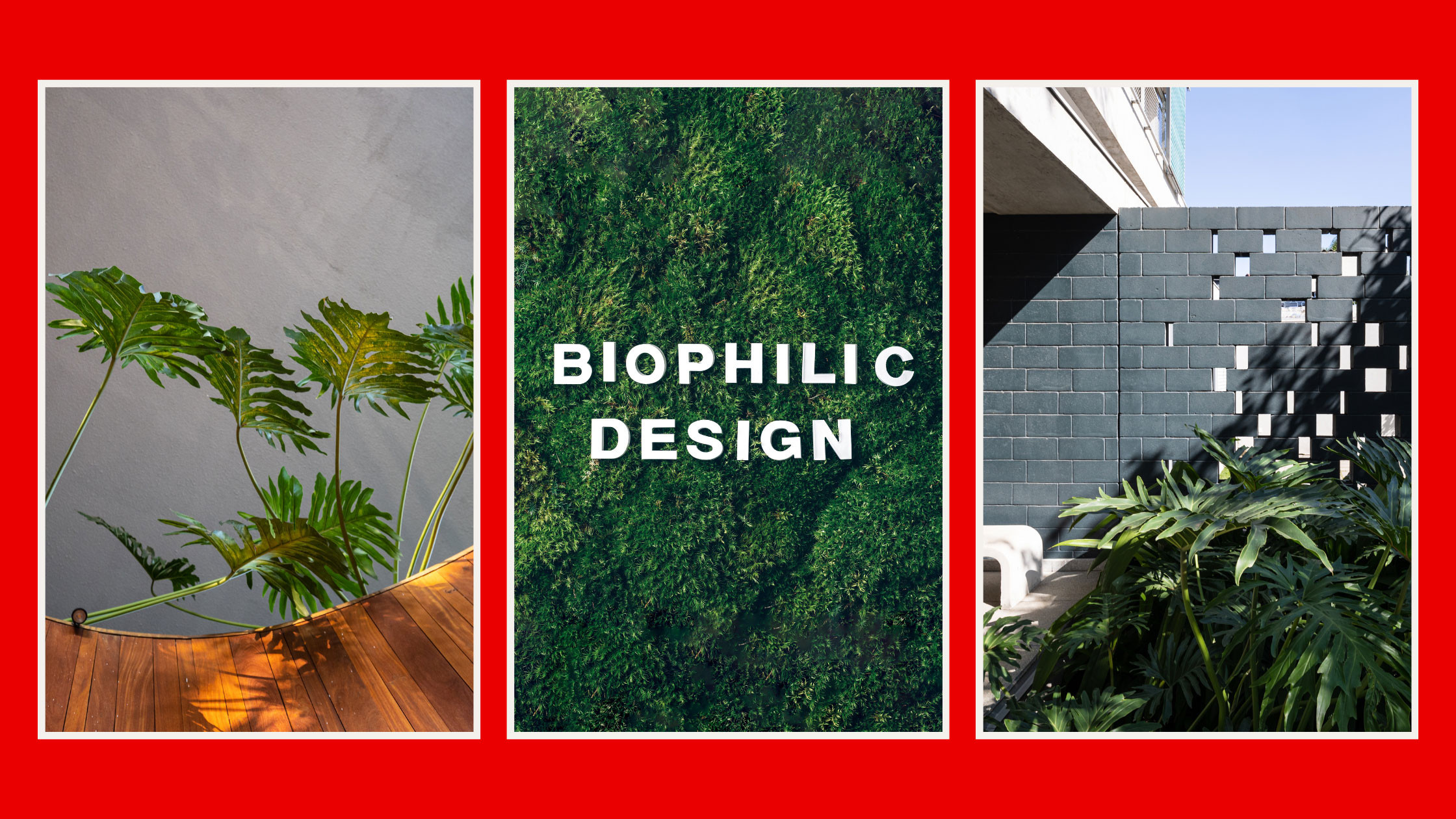 Bringing Nature into Urban Spaces With Biophilic Design | aaa ...
