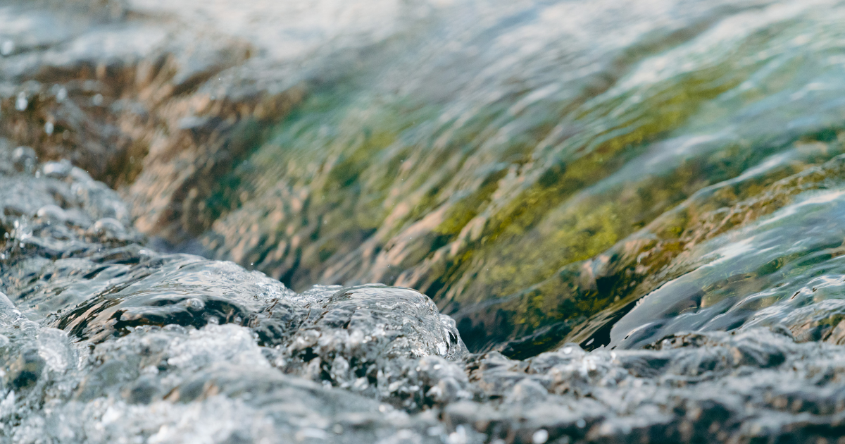 Sanitary Flow Reduction