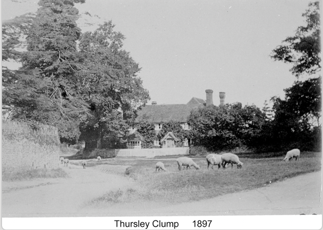 A Walk Through Old Thursley, 2009