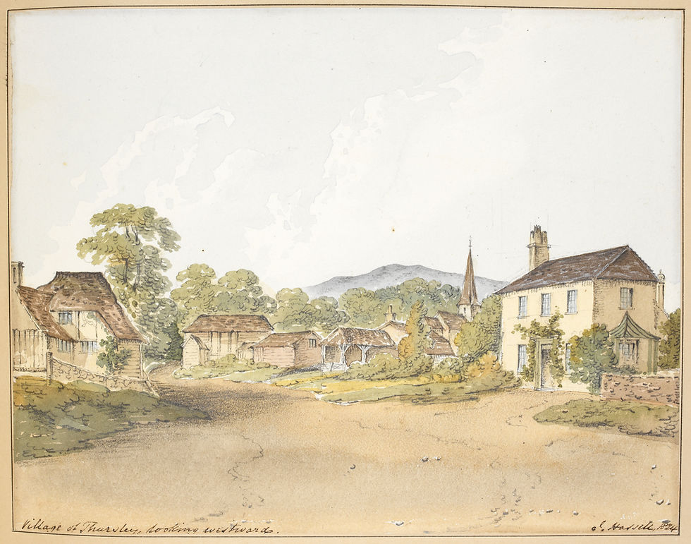 A Brief History of Thursley