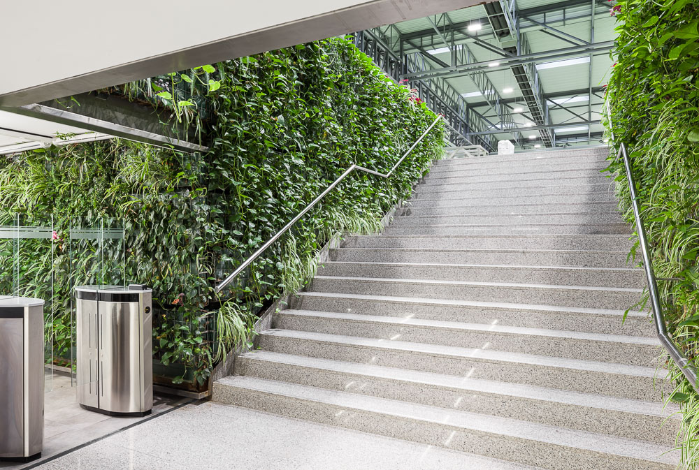 Biophilic Design | London | Green Living Walls