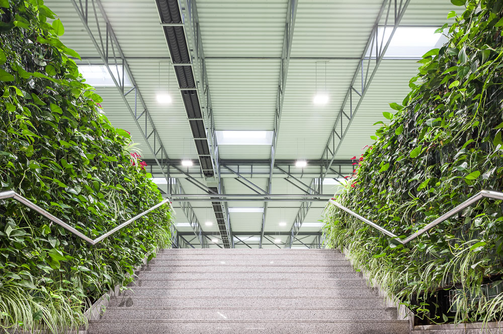 Biophilic Design | London | Green Living Walls