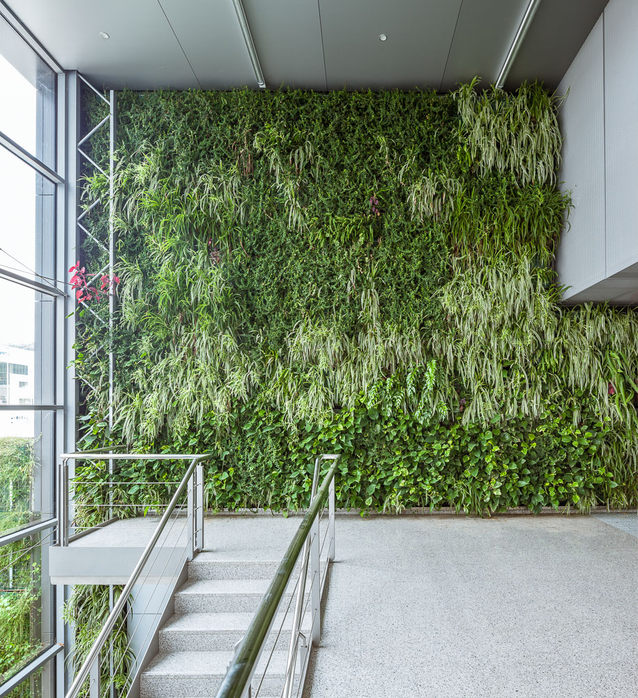Biophilic Design | London | Green Living Walls