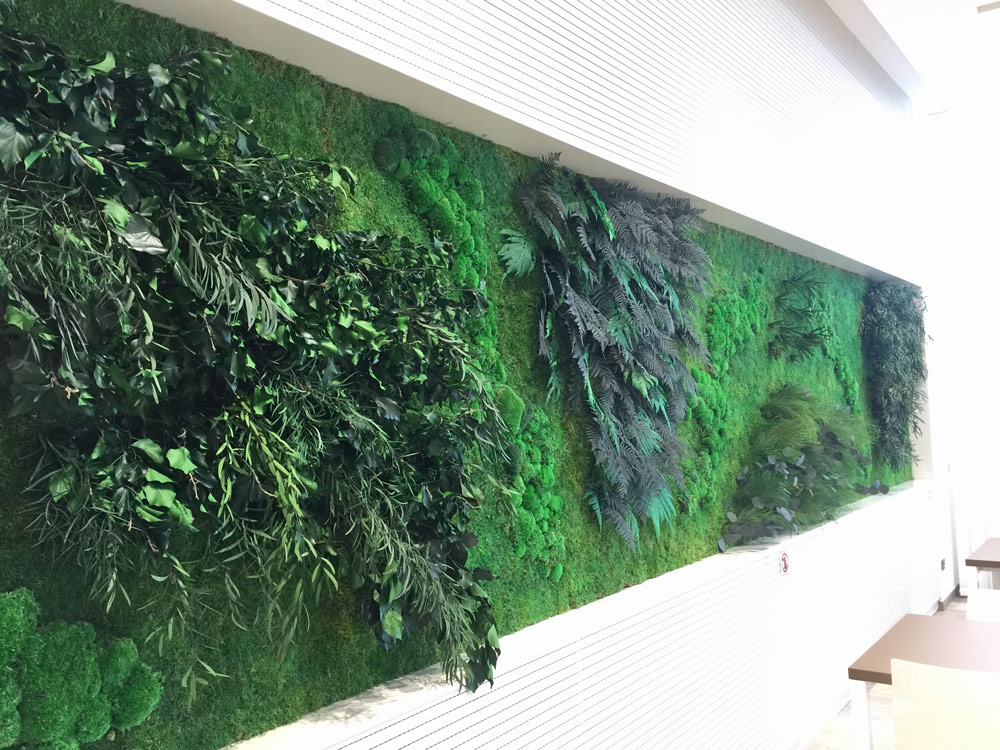 Biophilic Design | London | Green Living Walls