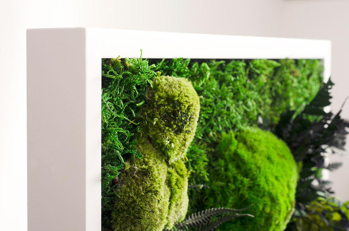 Biophilic Design | London | Green Living Walls