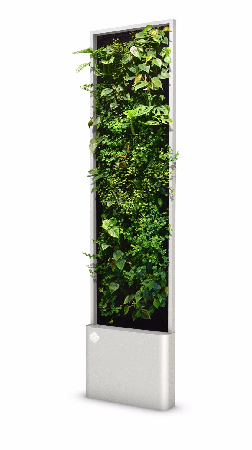 Biophilic Design | London | Green Living Walls