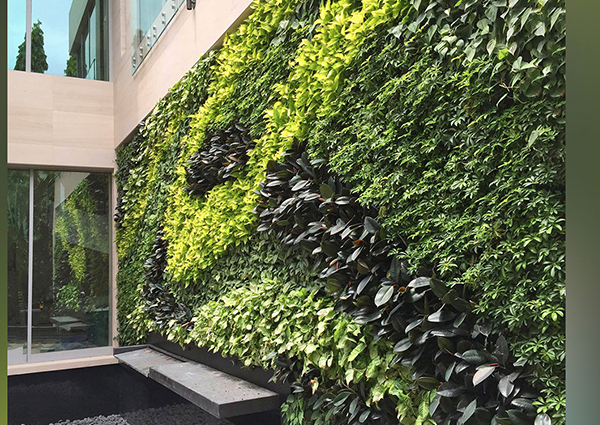 Biophilic Design | London | Green Living Walls