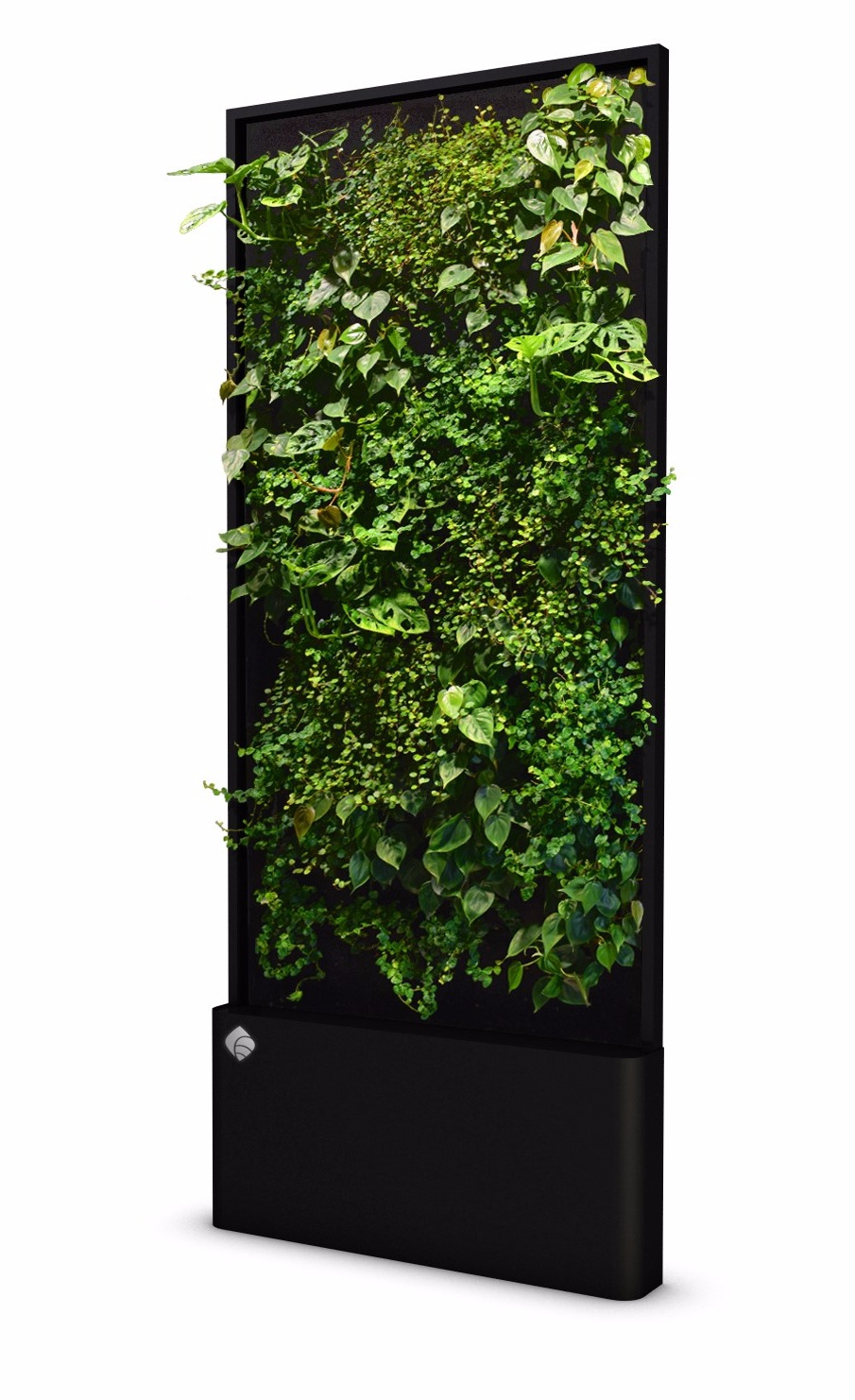 Biophilic Design | London | Green Living Walls