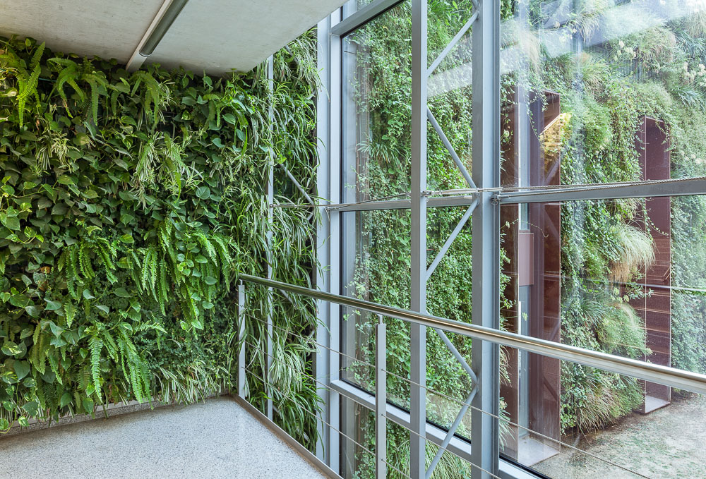 Biophilic Design | London | Green Living Walls