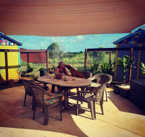 KAWS Dog Cabins | Kauai Animal Welfare Society