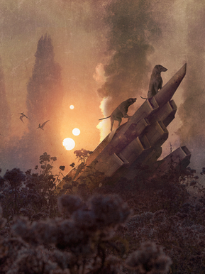 Illustrations | Dark Crayon