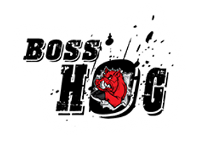 Boss Hog – Hybrid Twin Fin Fish Performance Surfboard