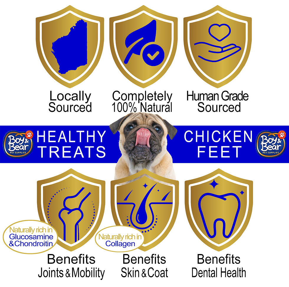 CHICKEN | pet mince | chicken frames