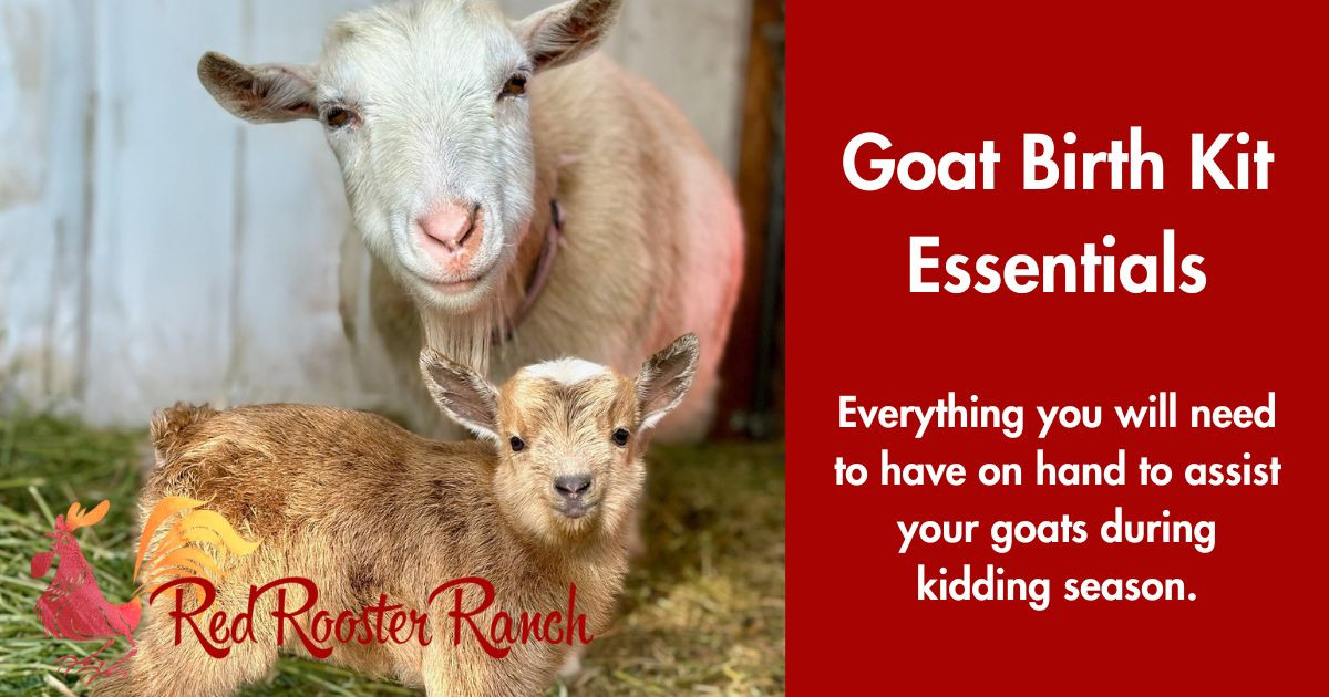 Goat Birth & Newborn Kit: Holistic & Conventional Essentials | Red ...