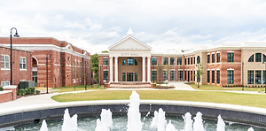 Portfolio | Palacio Collaborative