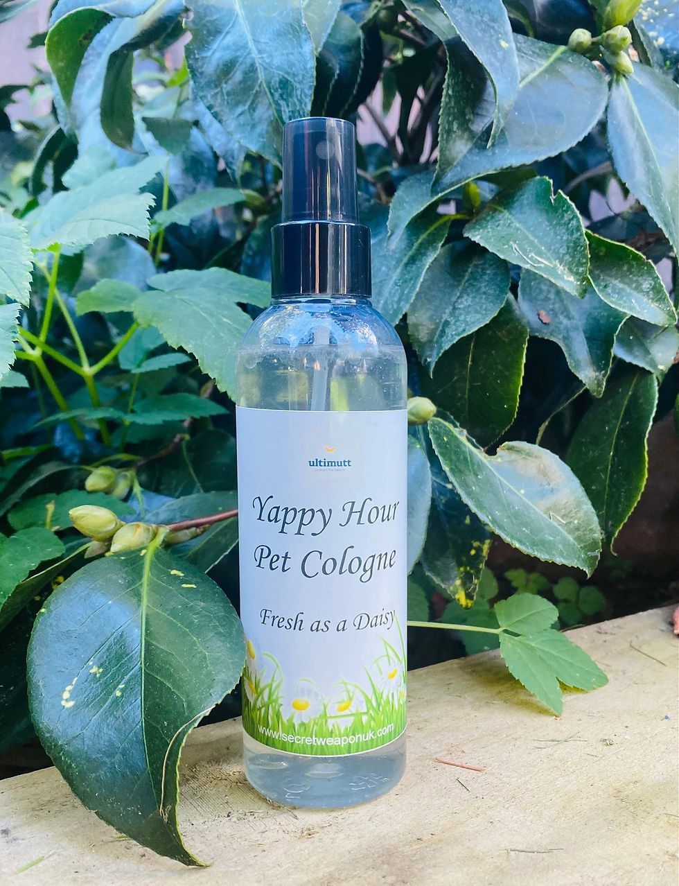 Secret Weapon Grooming Products