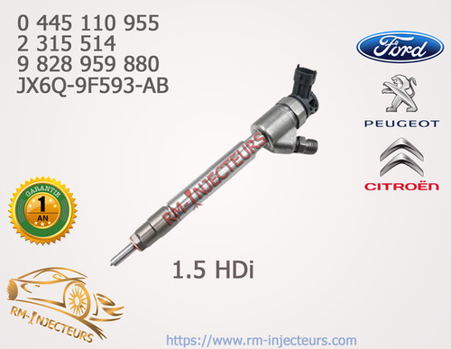 INJECTEUR NEUF BOSCH 0445110955 - 9828959880 - 2315514 | monsite