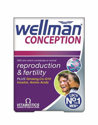 WELLMAN CONCEPTION | WHS