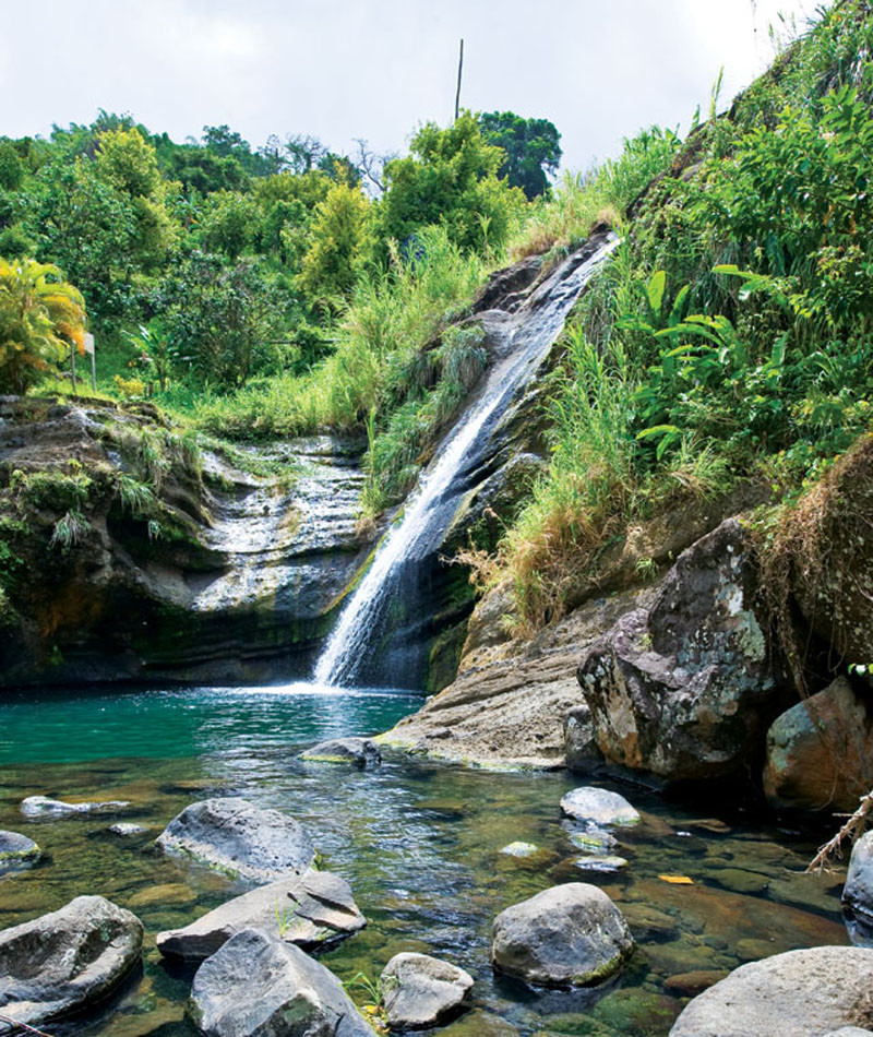 Mountains & Concord Falls Hiking in Grenada | Henry Safari Tours
