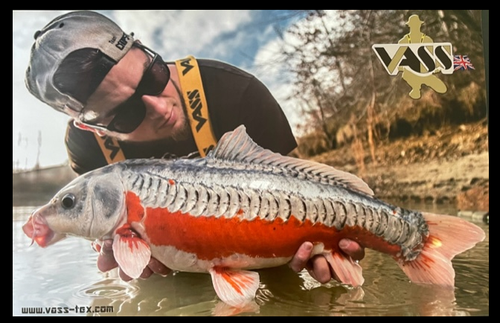 Vass LifeStyle Fishing Poster (Special Offer 3 for 2 Code ...