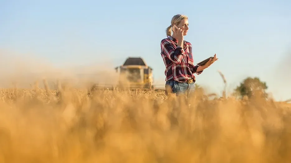 Commissioners discuss broadband, domestic violence awareness