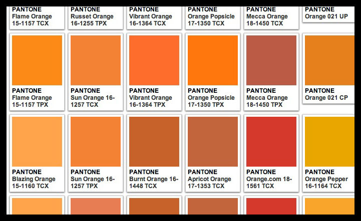 Inspiration, by Texas Longhorn Cattle