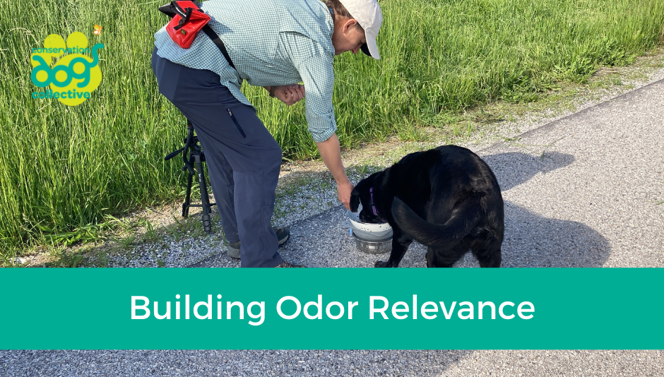 Building Odor Relevance