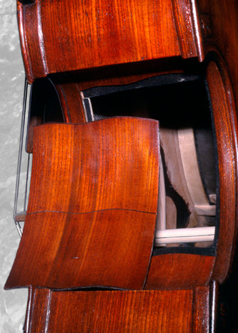 Gallery | Ross Double Bass
